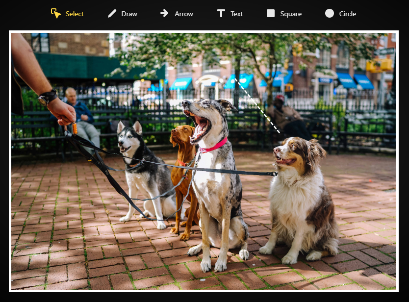 Poppulo Knowledge Base